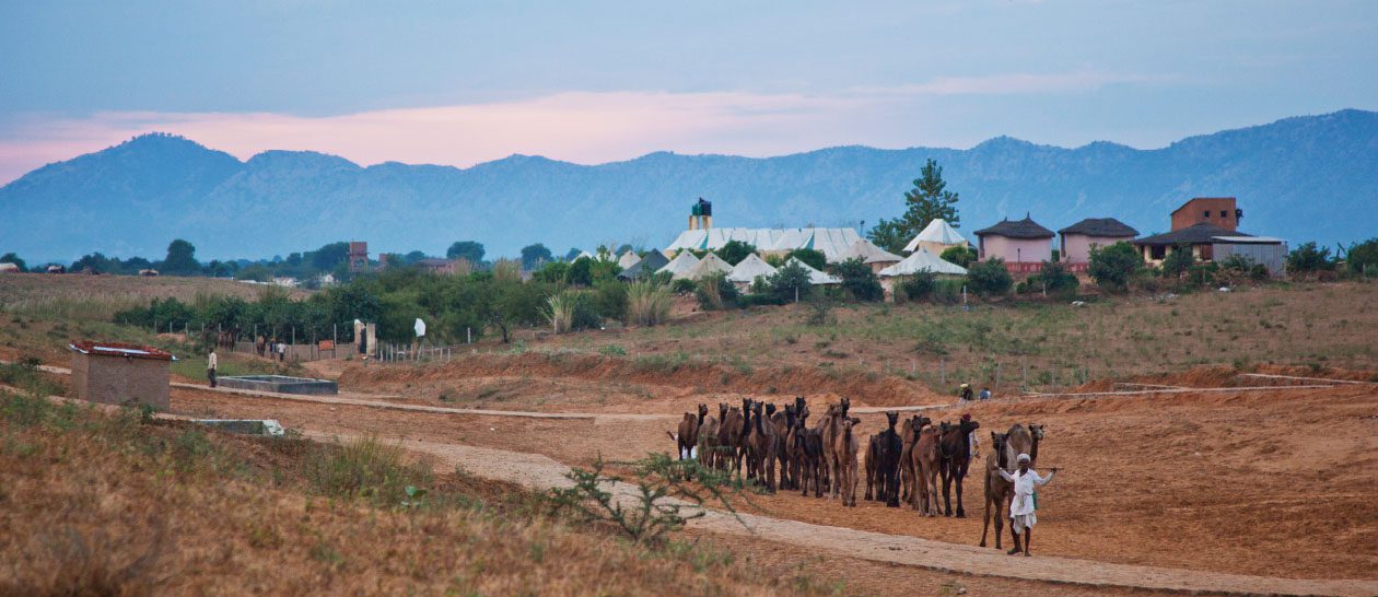 Passion and love for community - Heartfulness Magazine : Heartfulness ...