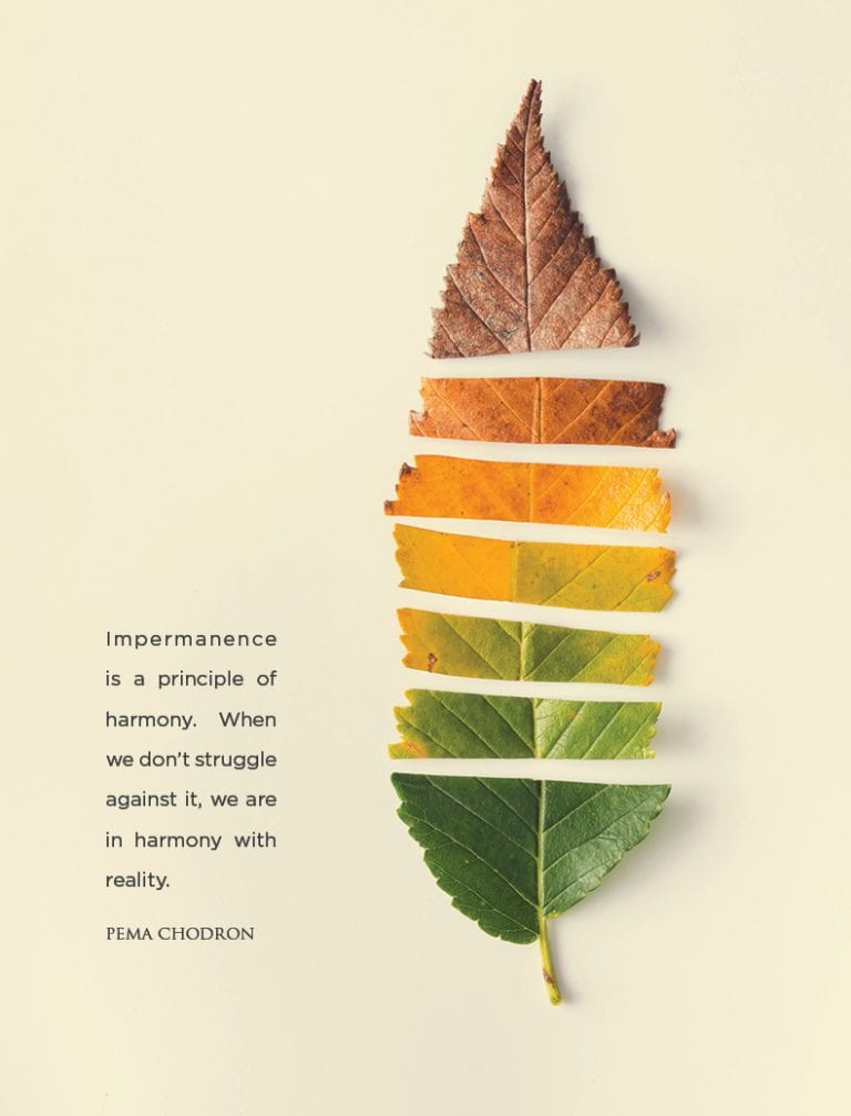 Impermanence - Heartfulness Magazine : Heartfulness Magazine ...