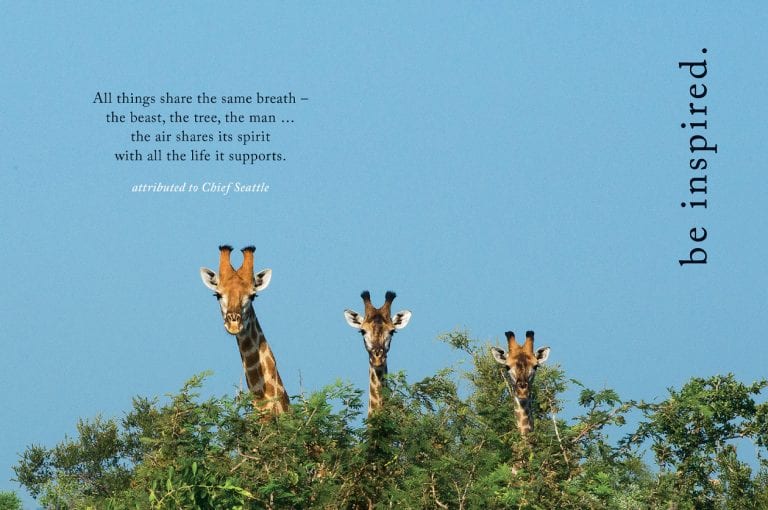 All share the same breath - Heartfulness Magazine : Heartfulness ...