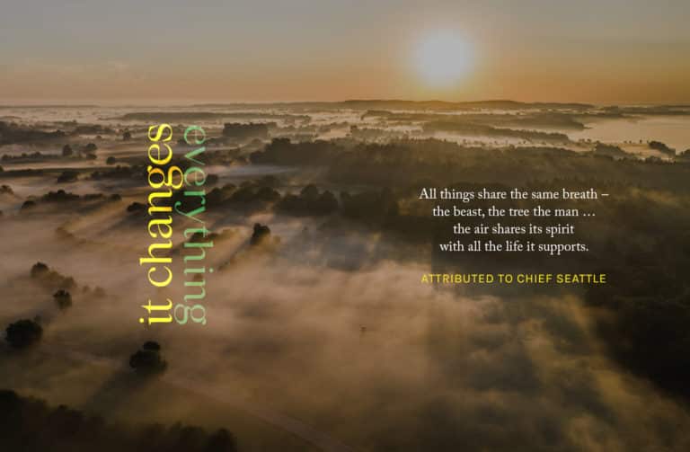 All things share the same breath - Heartfulness Magazine : Heartfulness ...