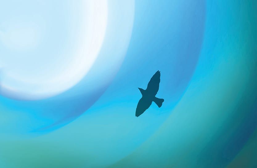 The march to freedom - part 1 - Heartfulness Magazine : Heartfulness ...