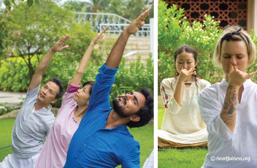 Wellness & Yoga - Heartfulness Magazine : Heartfulness Magazine ...