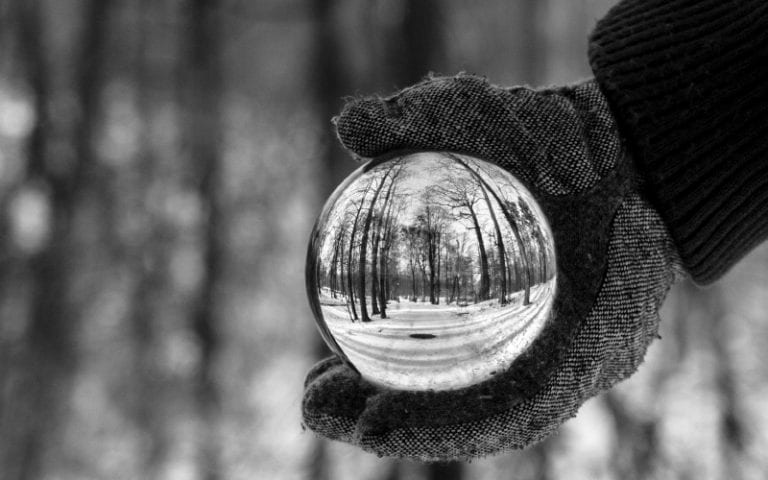 Scale in the story of interbeing - Heartfulness Magazine : Heartfulness ...