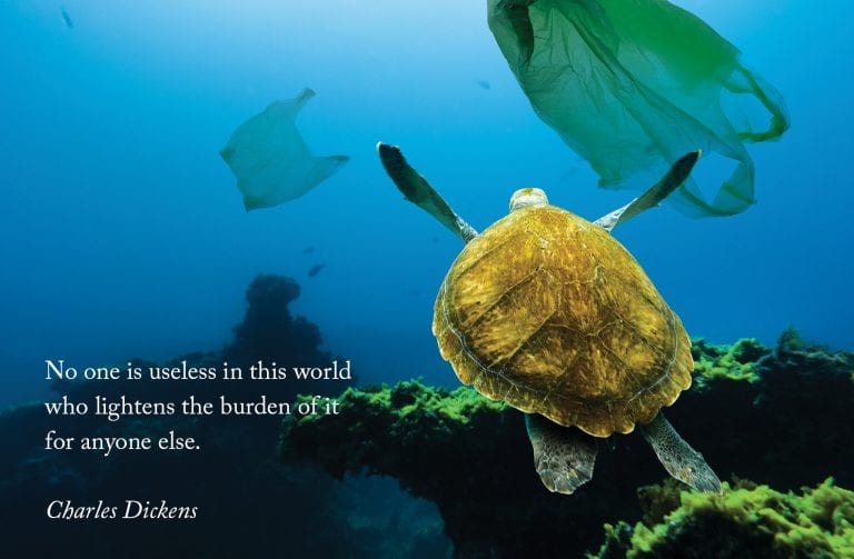 Lighten someone’s burden - Heartfulness Magazine : Heartfulness ...