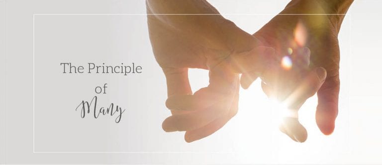 The principle of many - Heartfulness Magazine : Heartfulness Magazine ...