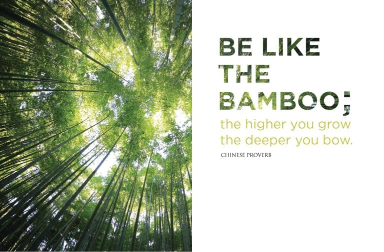 Be like the bamboo - Heartfulness Magazine : Heartfulness Magazine ...