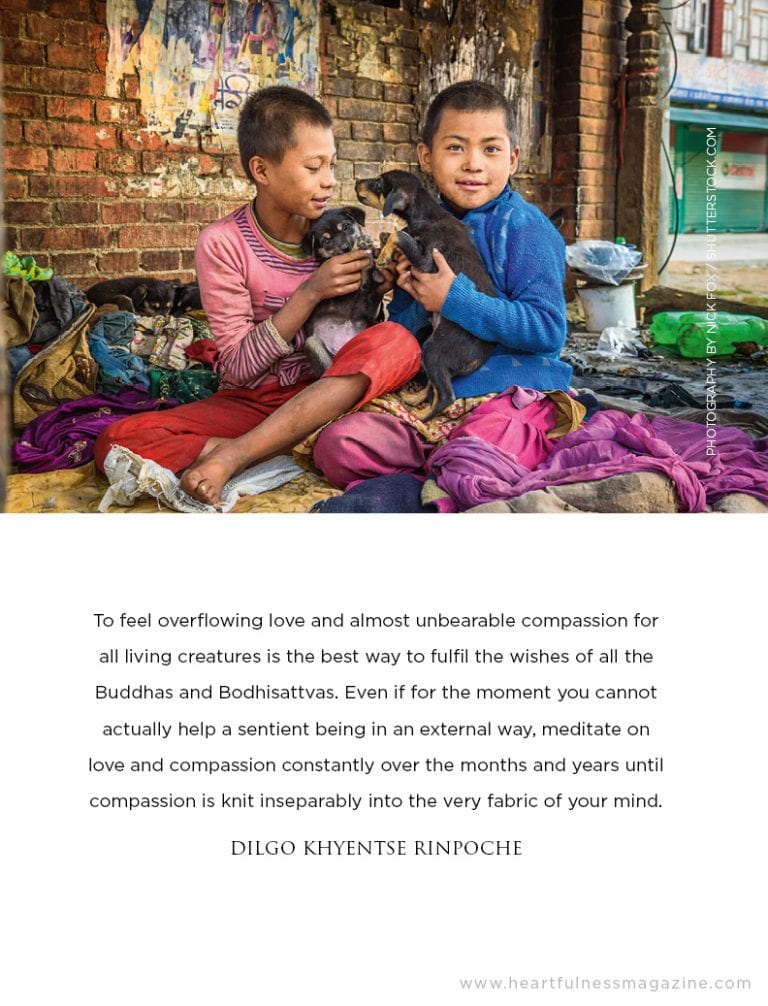 Compassion for all living creatures - Heartfulness Magazine ...