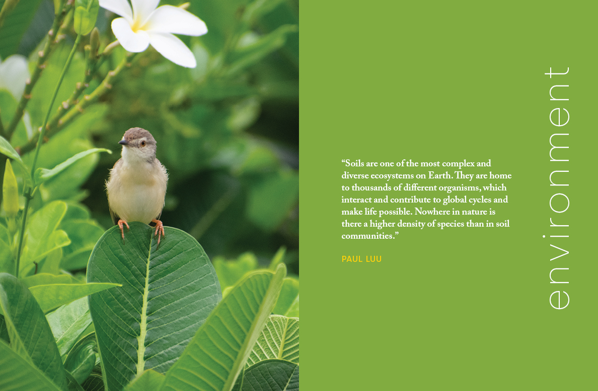 Soils make life possible - Heartfulness Magazine