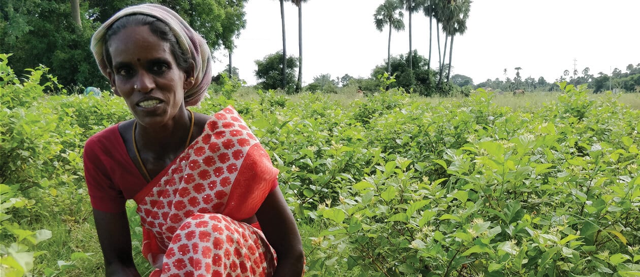 Samunnati - Heartfulness Magazine : Heartfulness Magazine ...